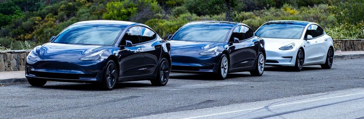 Sparking a Green Revolution: Electric Cars at the Heart of Public ...